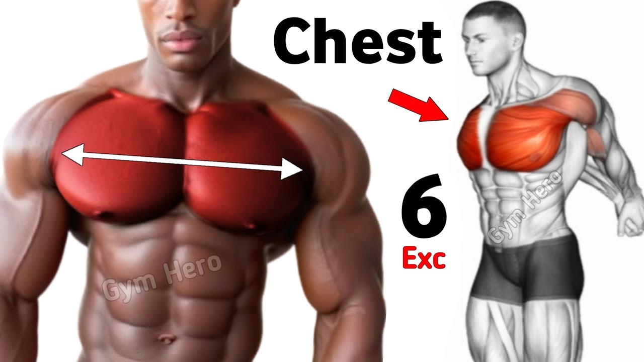 6 Best Chest Exercises For Growth You Should Be Doing - YouTube