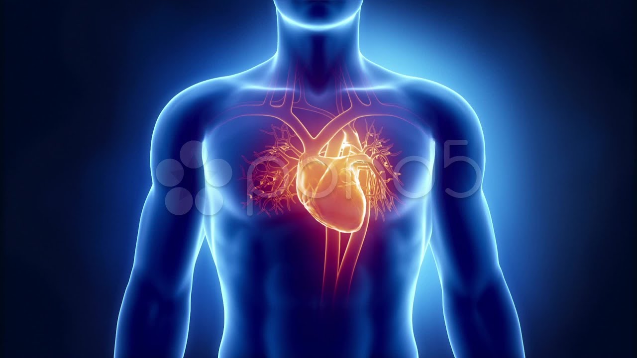 Heart Problem. Stock Footage - YouTube