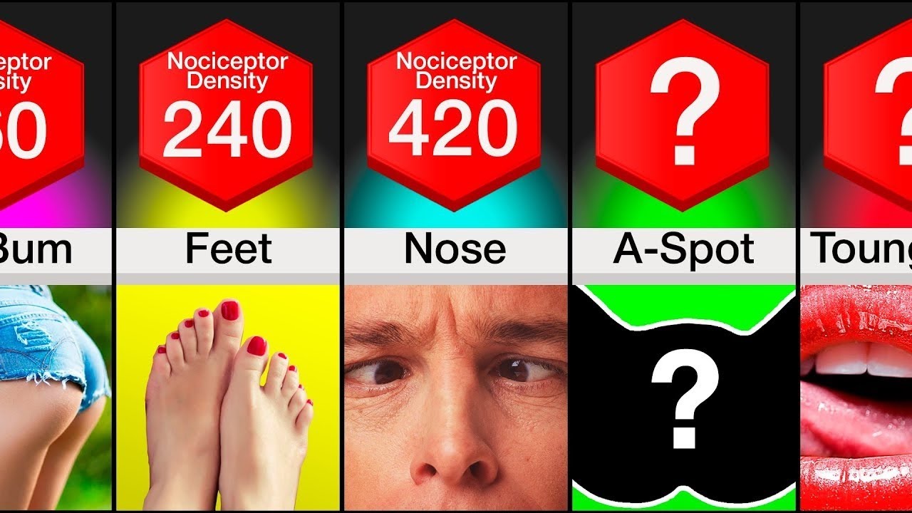 Comparison: Most Sensitive Parts Of The Body - YouTube