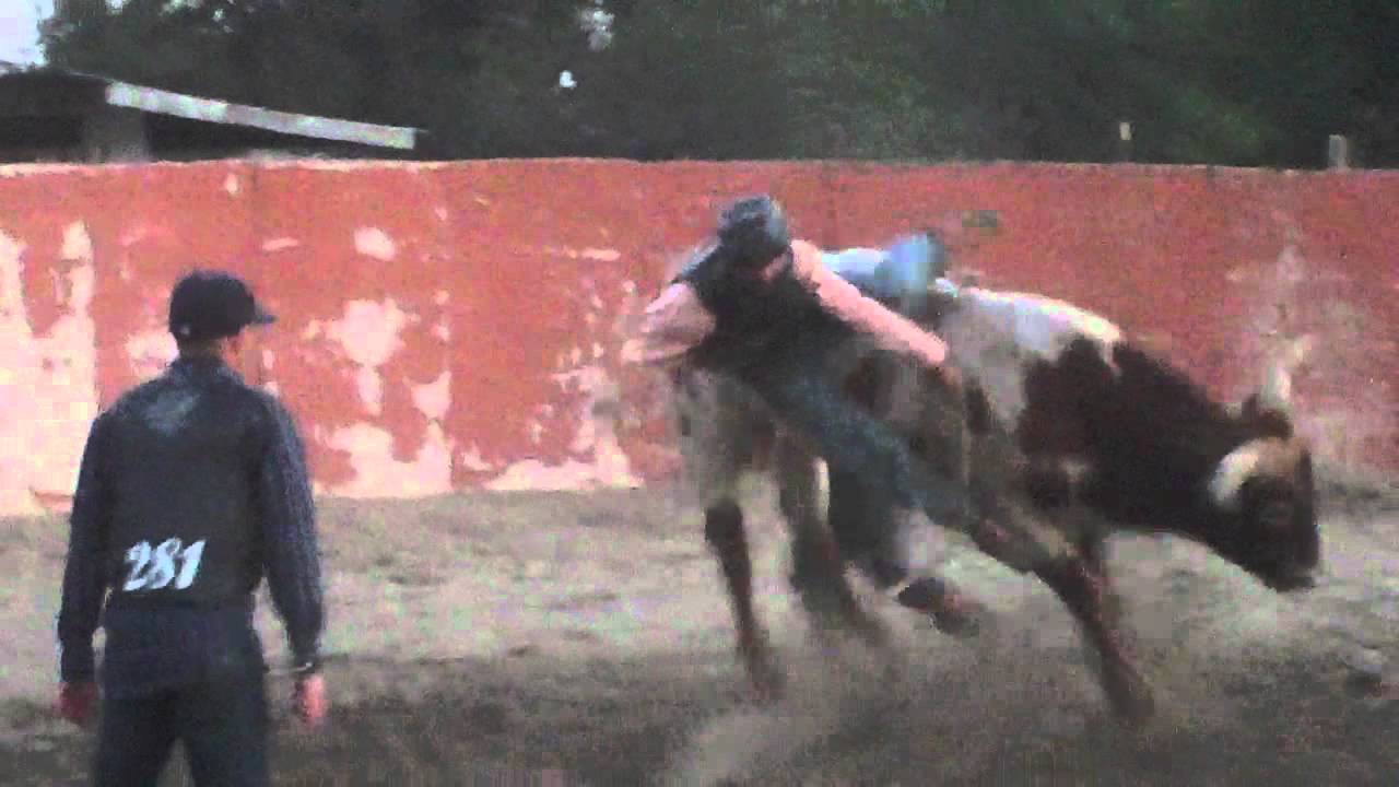 Bull riding practice video #5 - YouTube