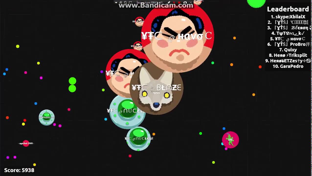 AGAR.IO - PLAYING WITH MEMBERS OF THE CLAN (first video) - YouTube