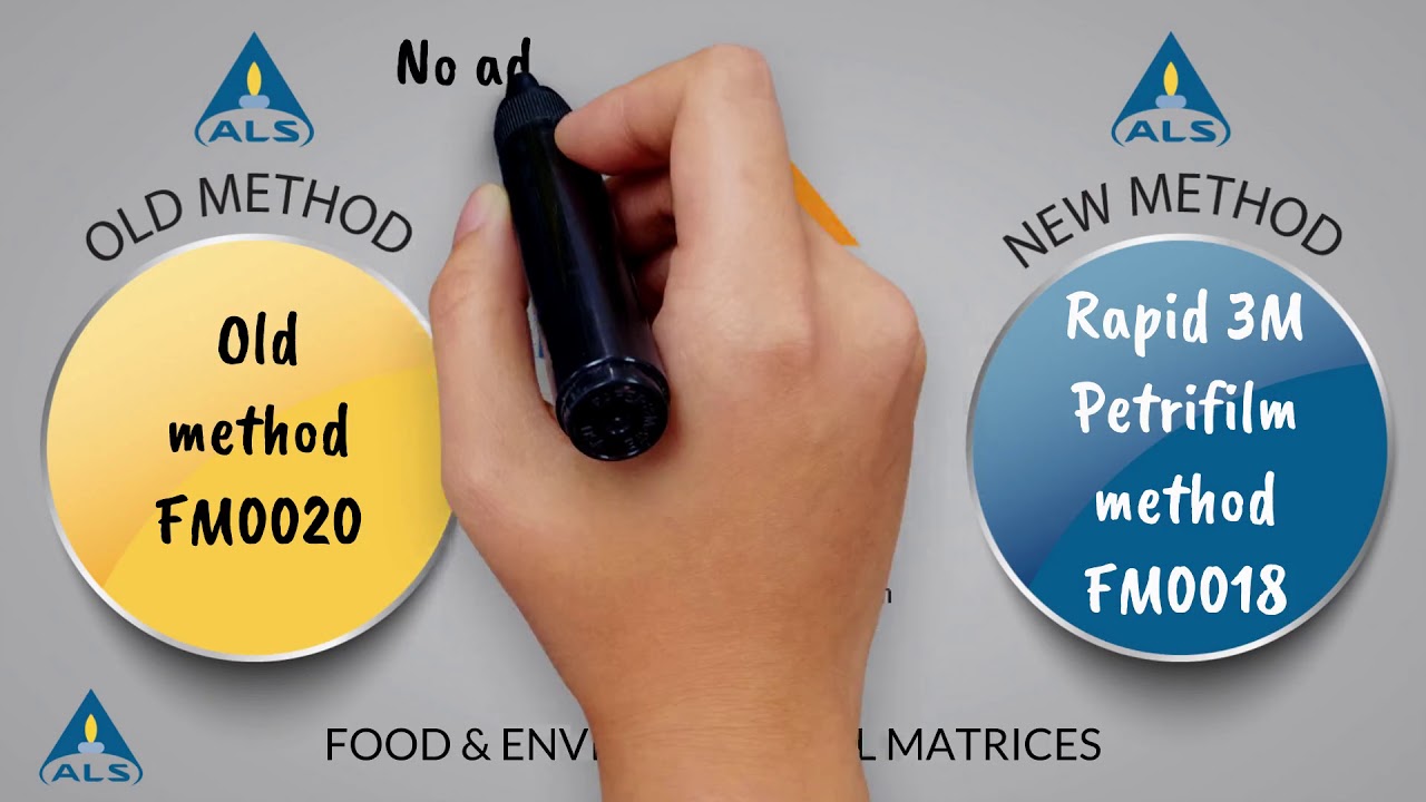 Rapid 3M Enterobacteriaceae Petrifilm Method - YouTube