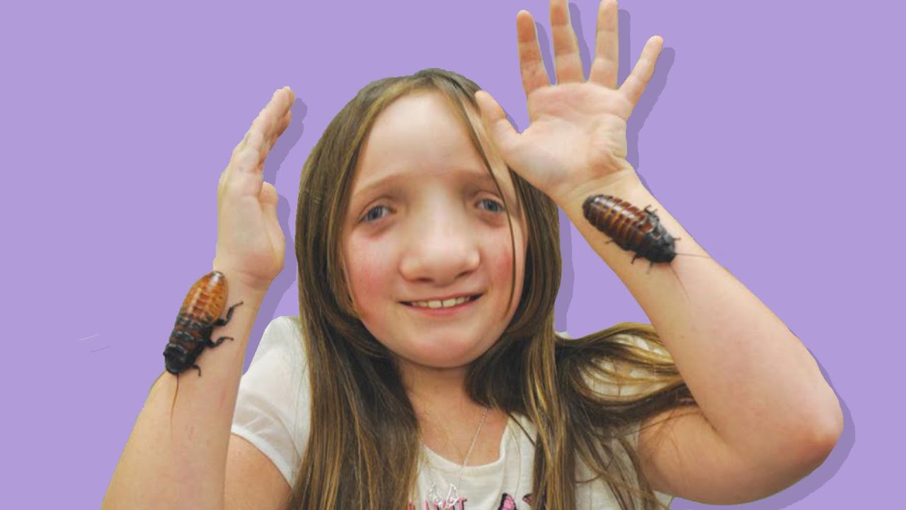 The Girl Who Collects Cockroaches Youtube