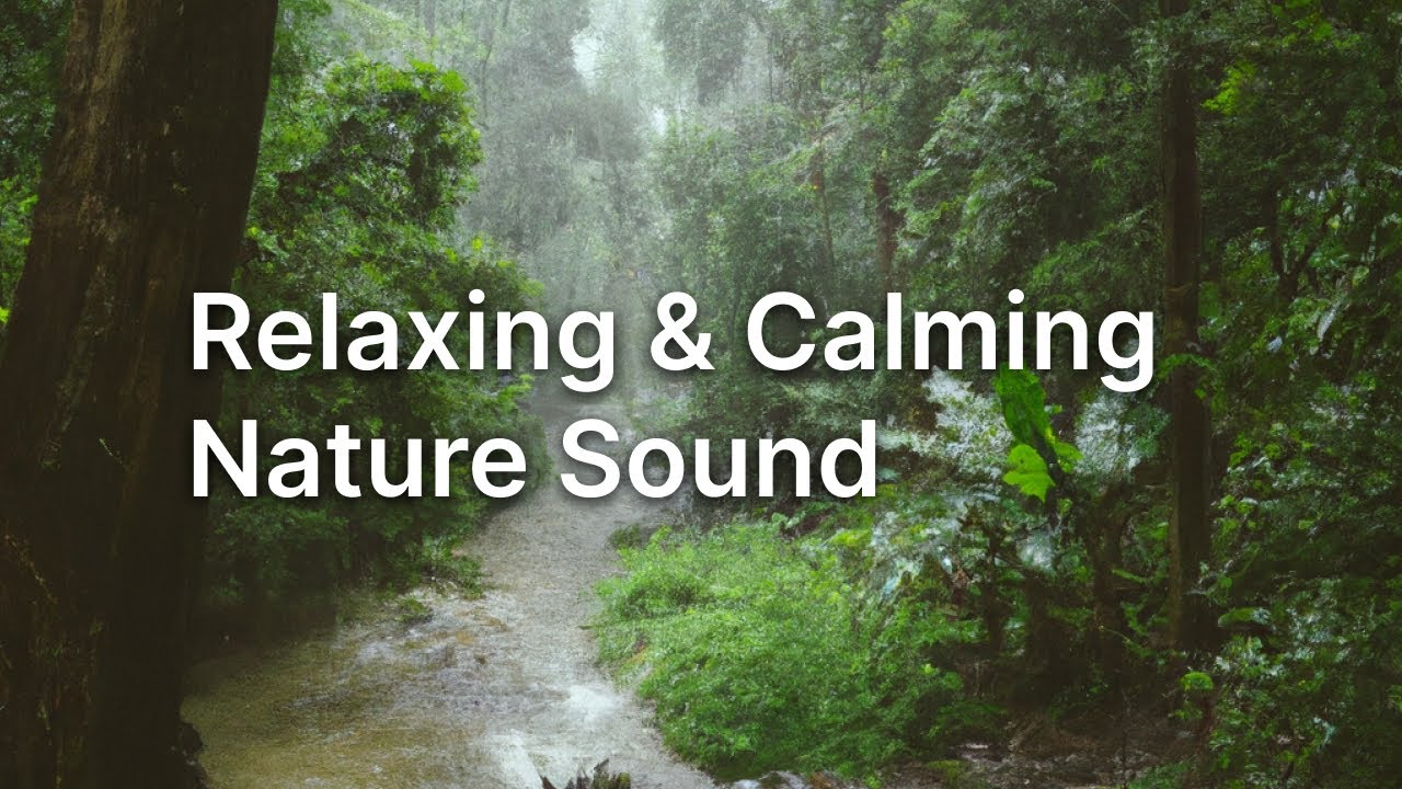 Jungle Rainfall: Relaxing and Calming Nature Sound - YouTube