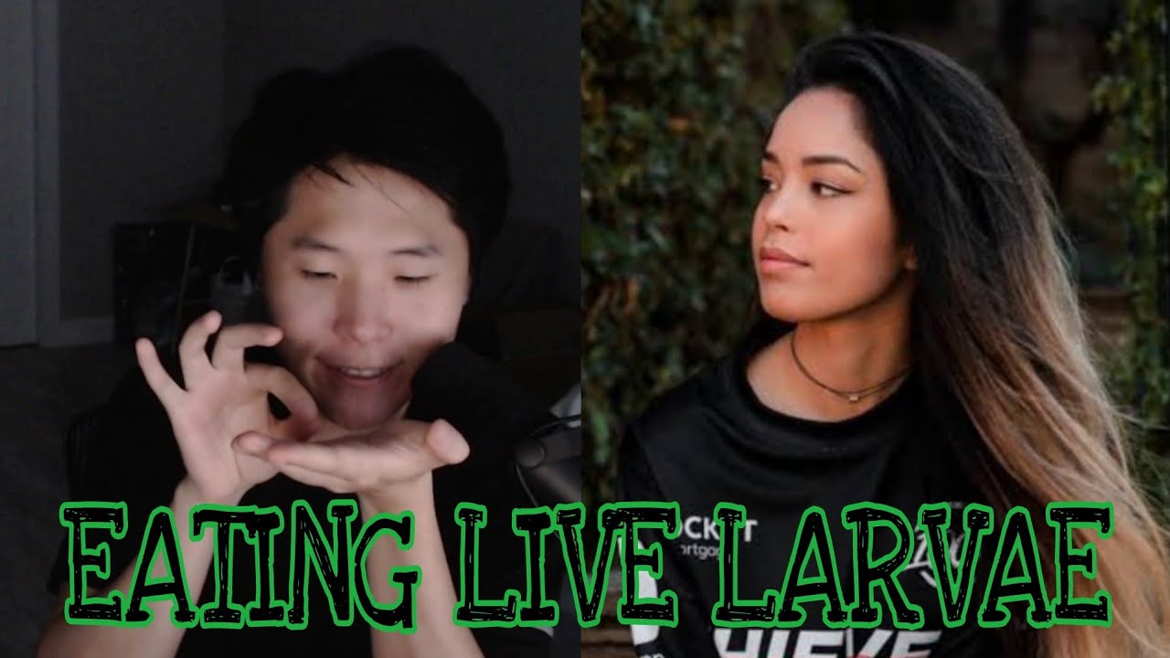 Toast and Valkyrae Bug Eating Challenge - YouTube