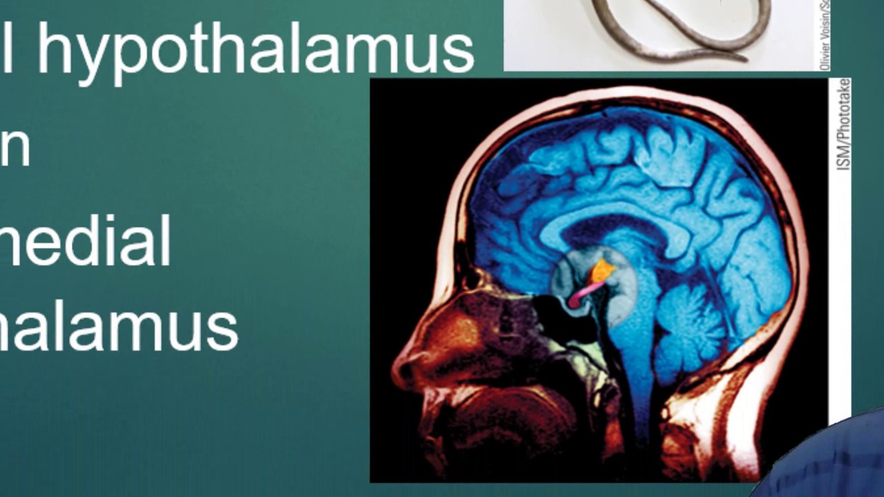 AP Psychology Unit 8 Motivation Emotions and Stress Part 1 - YouTube