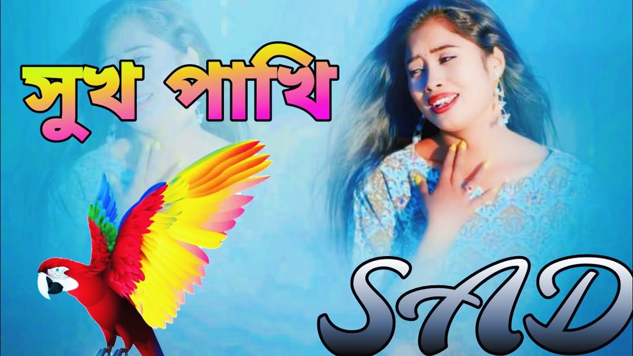 Shukh Pakhi Tor Preme(🐦🥀💔) সুখ পাখি তোর প্রেমে Mood off #sadsong #Lo-fo ...