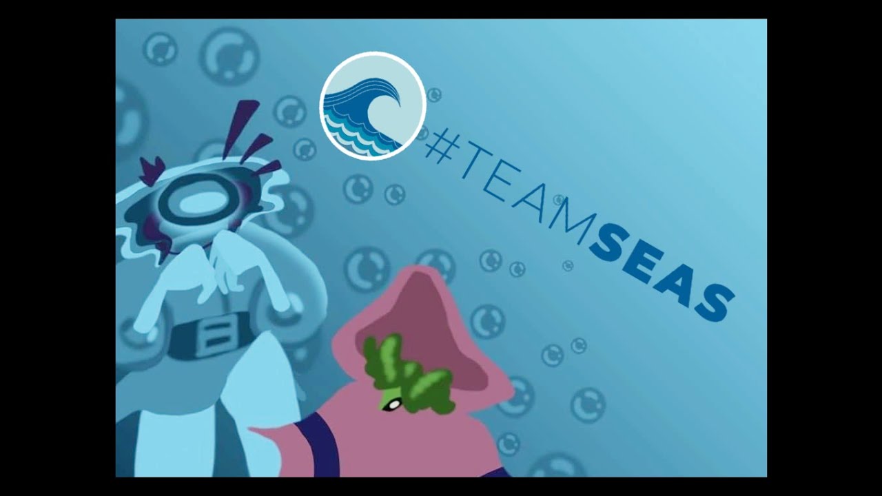 Welcome Team Seas! - YouTube