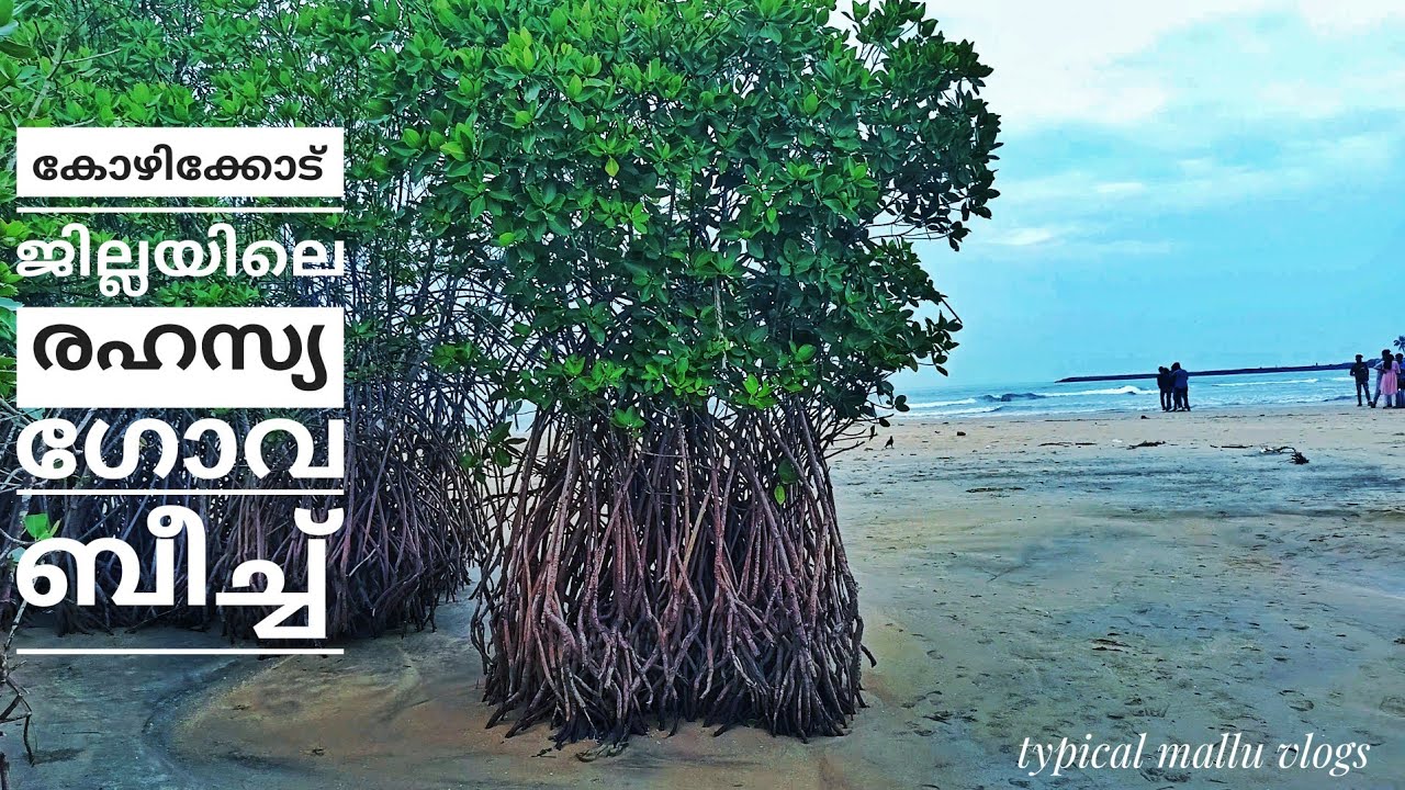 mini goa in vadakara |വടേര കാരുടെ goa ബീച്ച്|mini gova in Kozhikode ...