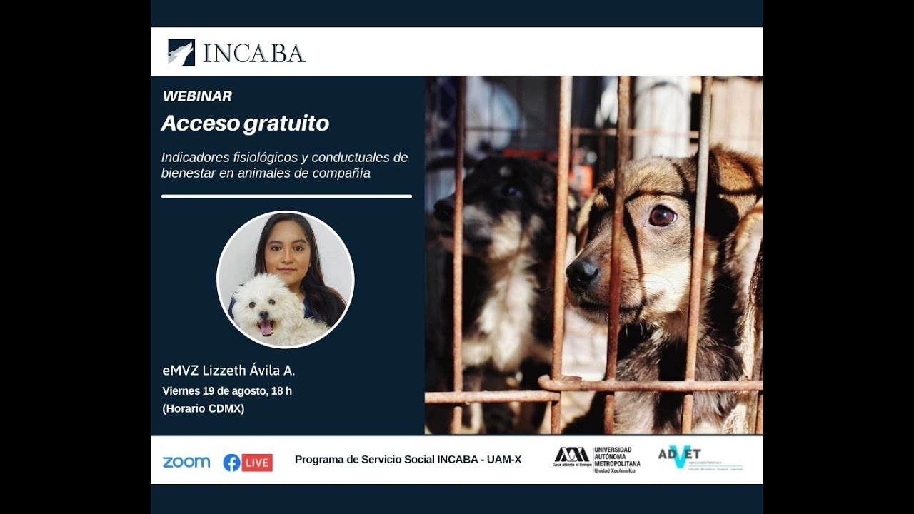 Indicadores fisiológicos y conductuales en animales de compañía - YouTube