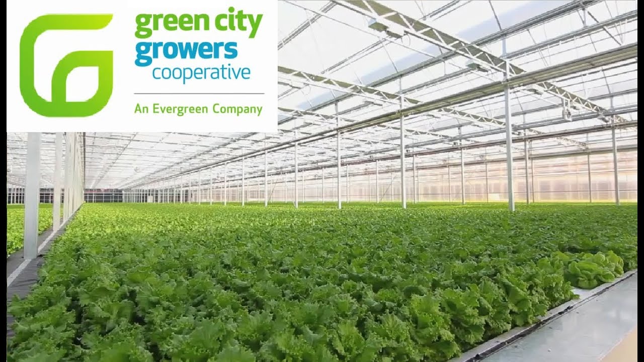 Green City Growers - YouTube