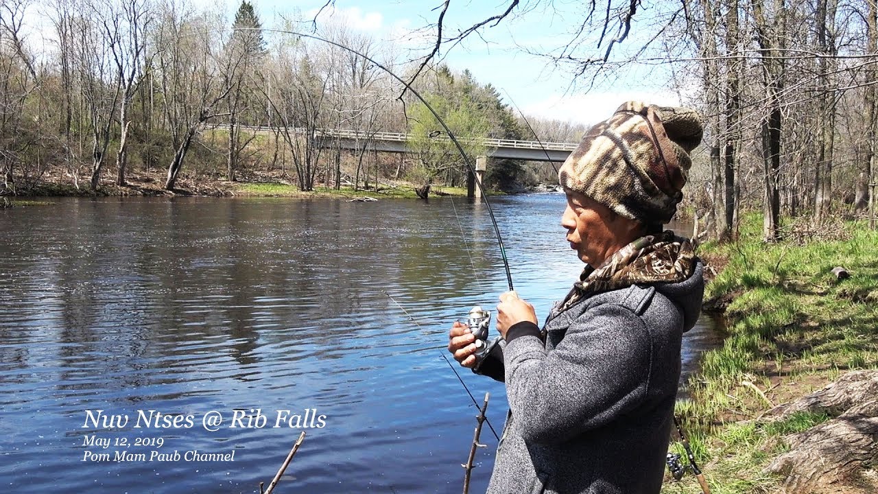 Sucker Fishing @ Rib Falls EP.1 / Hmoob nuv ntses Sucker - YouTube