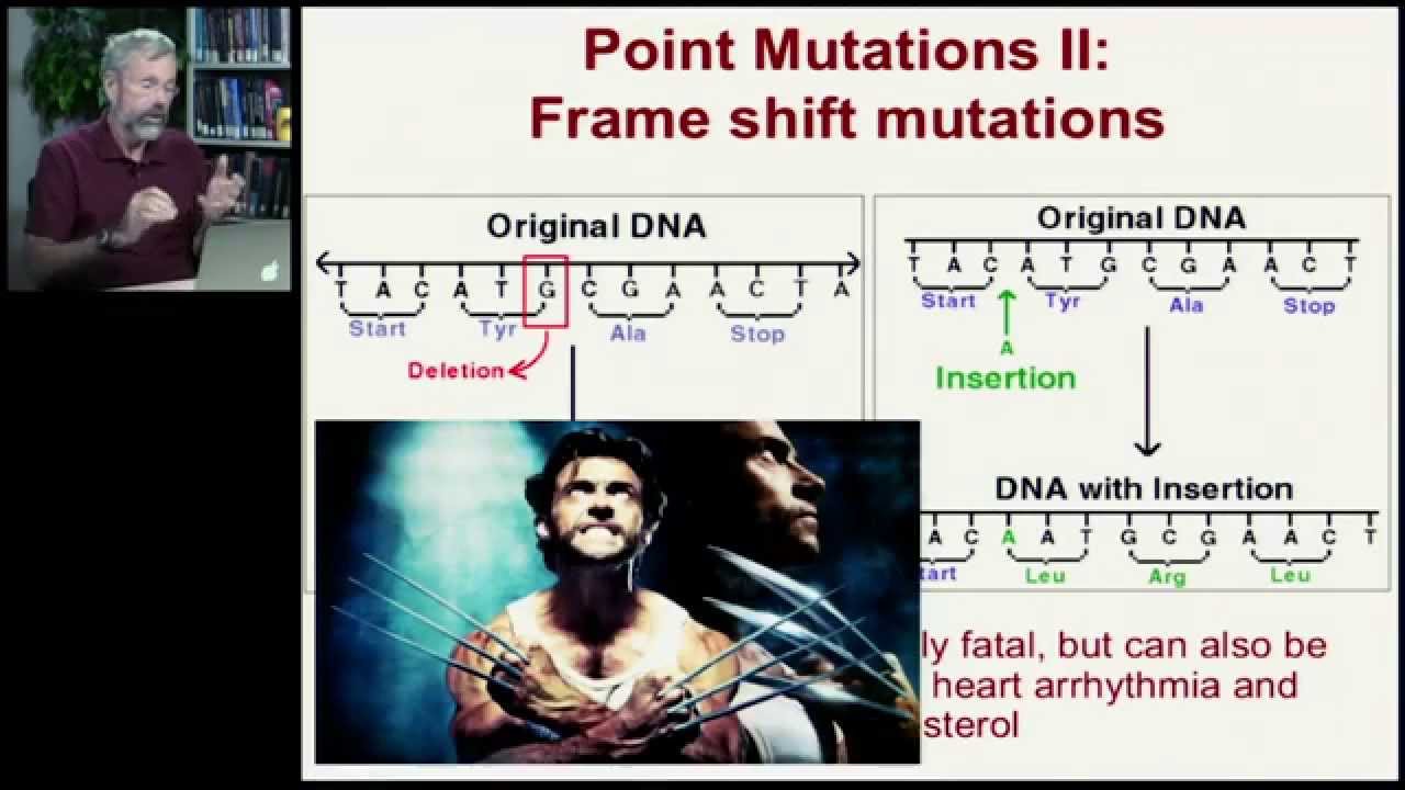 Mutation and Cell Division | Mutation - YouTube