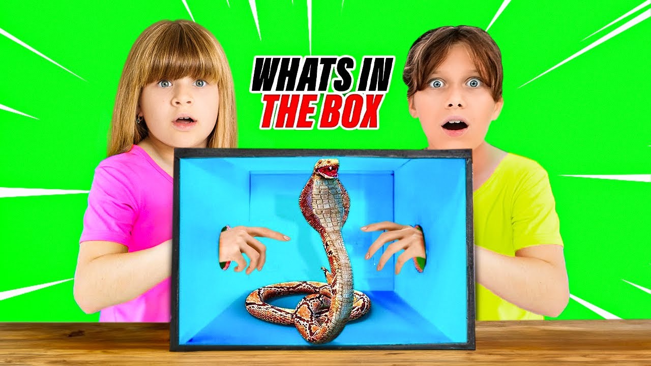 Diana MYSTERY BOXES CHALLENGE 📦 Choose and Guess what's inside? - YouTube