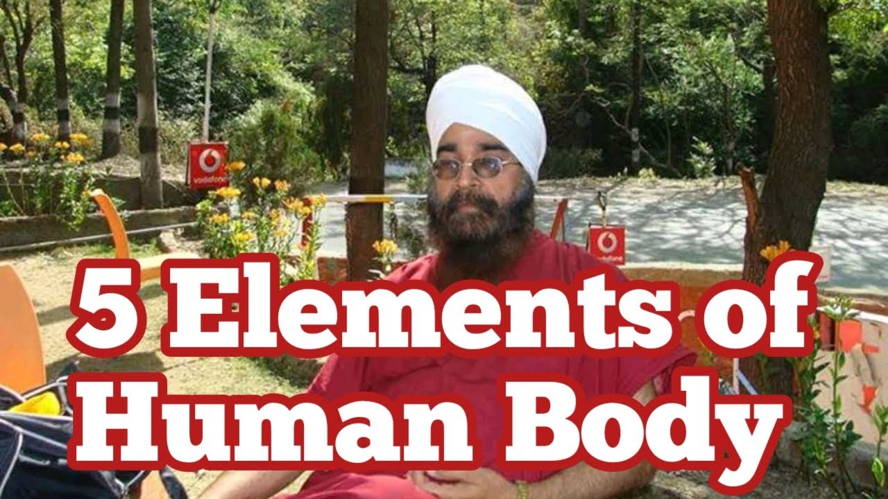 FIVE -ELEMENTS OF HUMAN BODY -By Dr.Darshan singh - YouTube