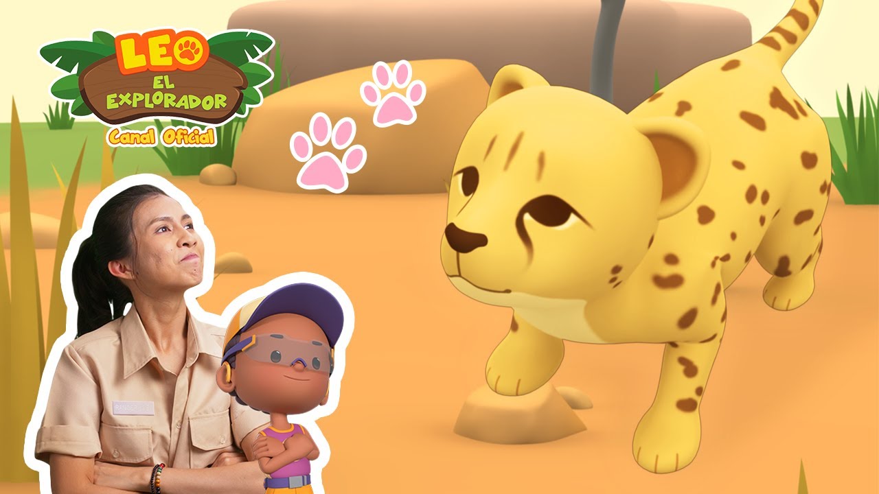 Guepardo sudafricano | Leo, El Explorador Episodio | Animación ...