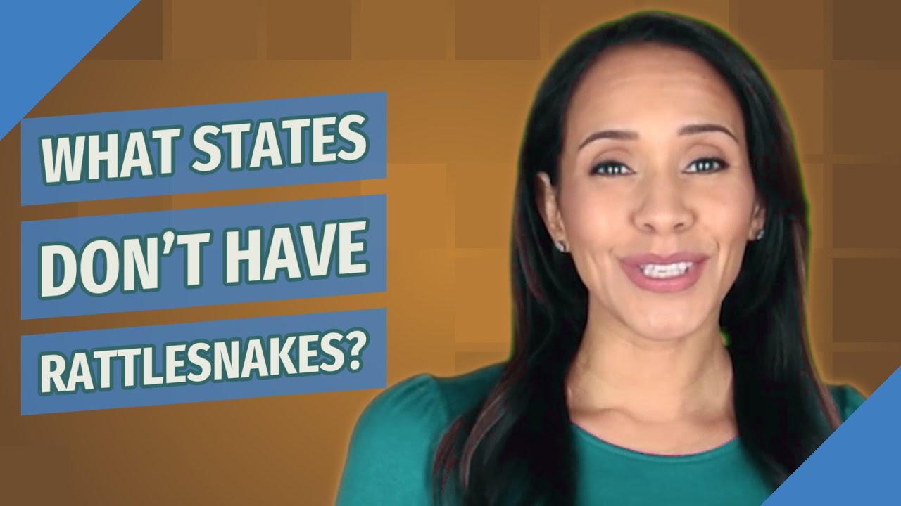 What States Don t Have Rattlesnakes YouTube what-states-don-t-have-rattlesnakes-youtube