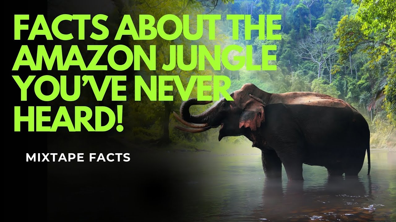 5 Mind-Blowing Facts About the Amazon Jungle You’ve Never Heard! - YouTube