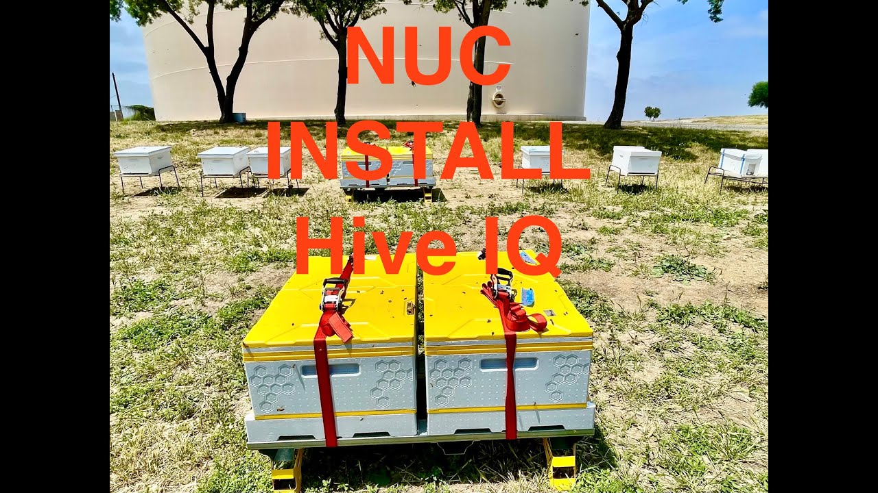 Nuc Install Hive IQ 5-14-2024 - YouTube