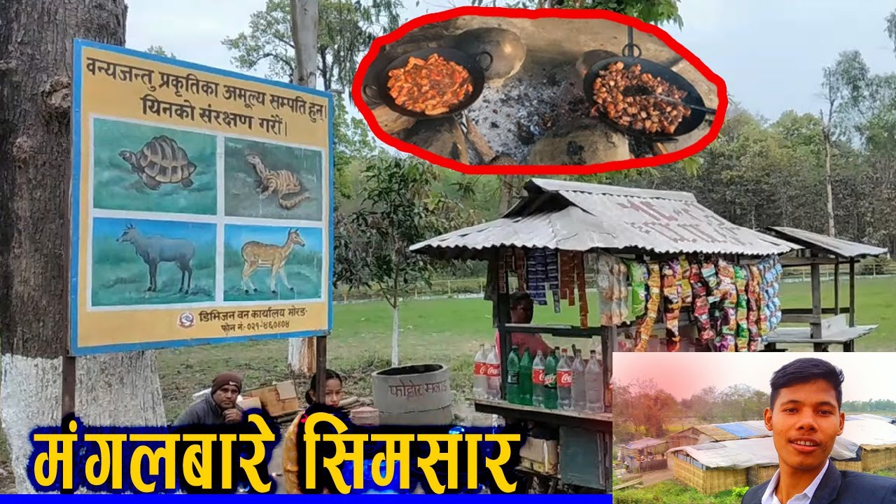 Mangalbare Simsar || Mangalbare simar morang ||साथीहरु संग सिमसार ...