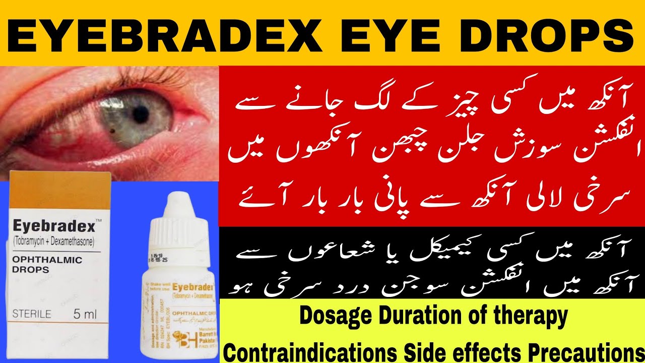Eyebradex eye drops uses | tobramycin Dexamethasone eye drops ...