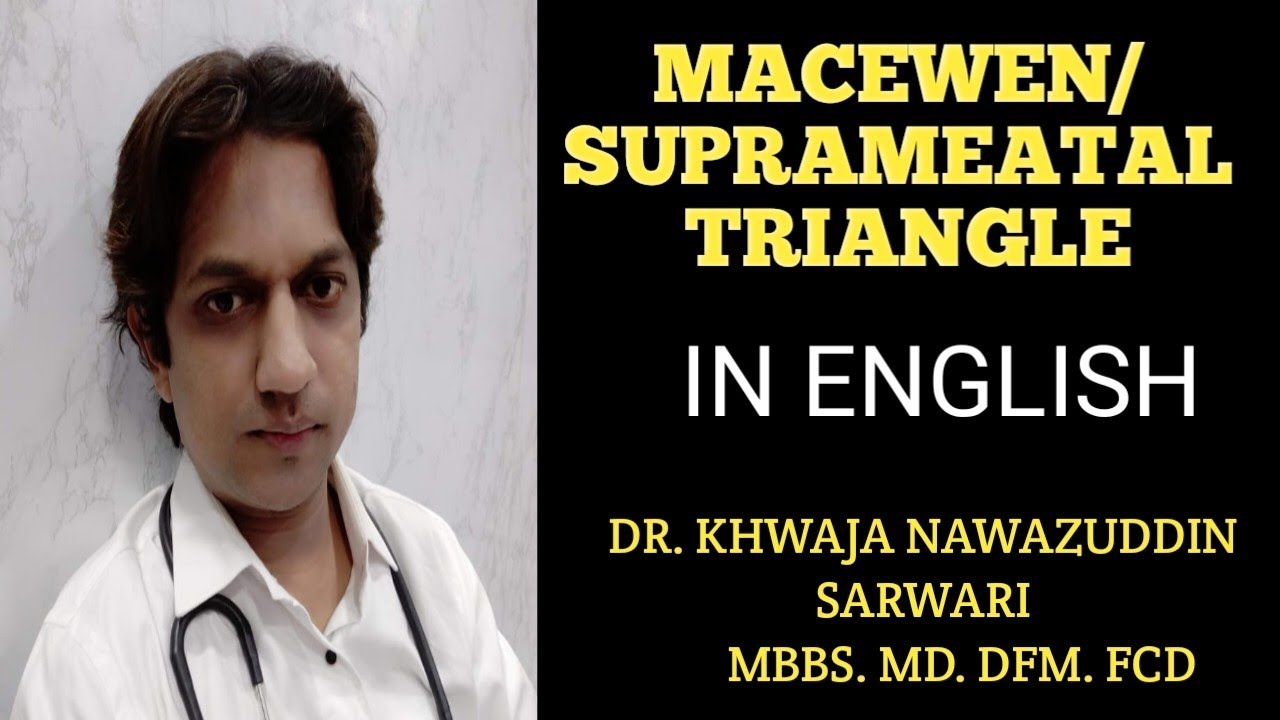 Macewen triangle | In English | suprameatal triangle | MBBS | anatomy ...