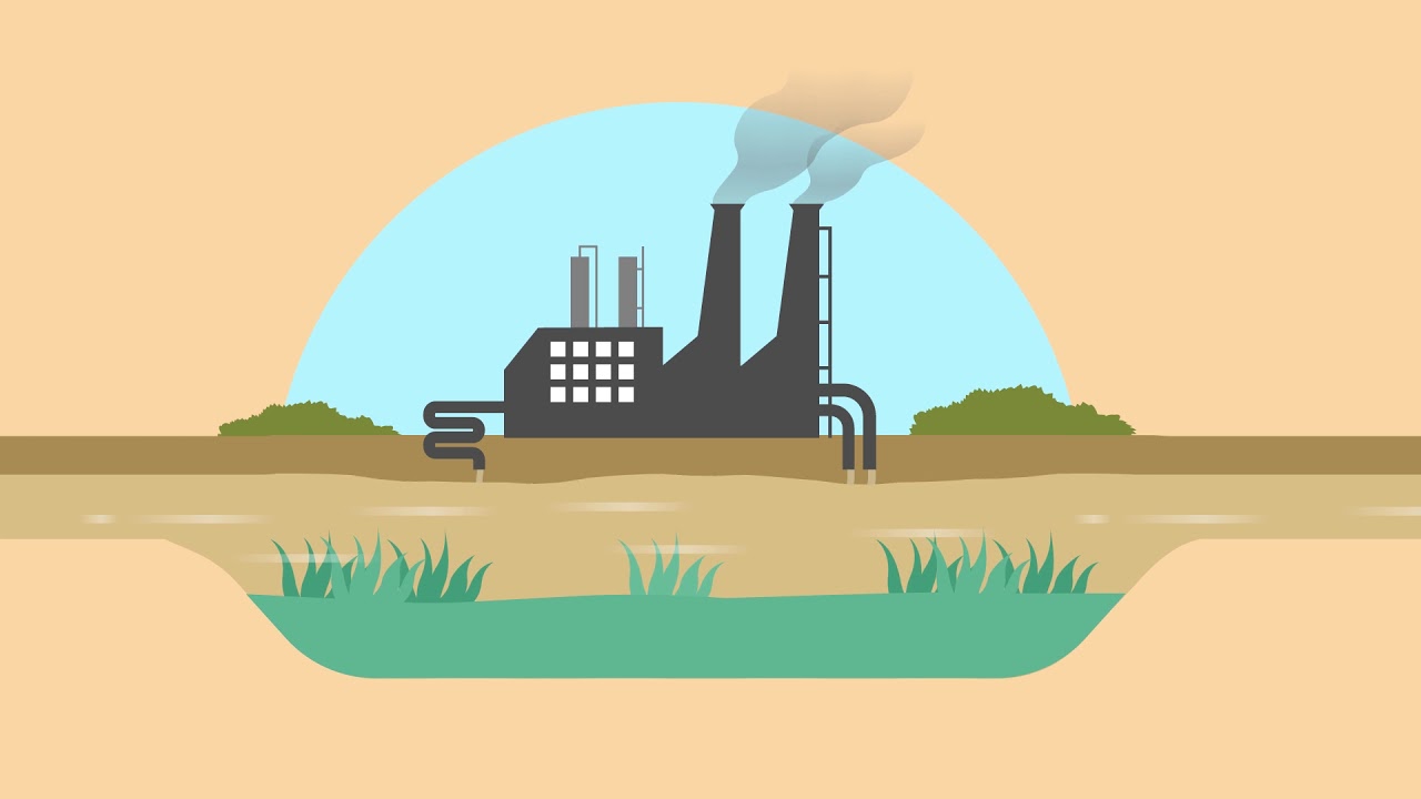 Banking on Finance to Save Our River Basins - YouTube