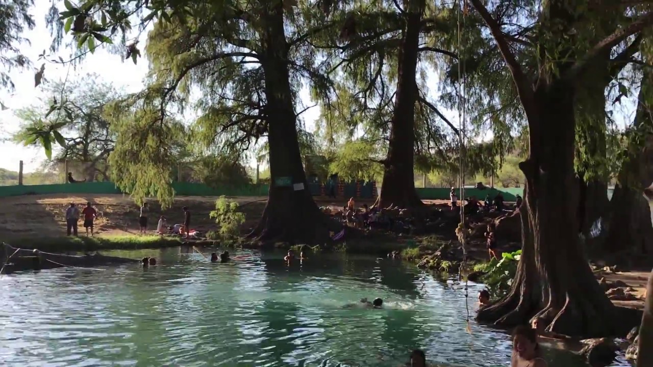 Los ahuehuetes Tepeojuma Puebla México - YouTube