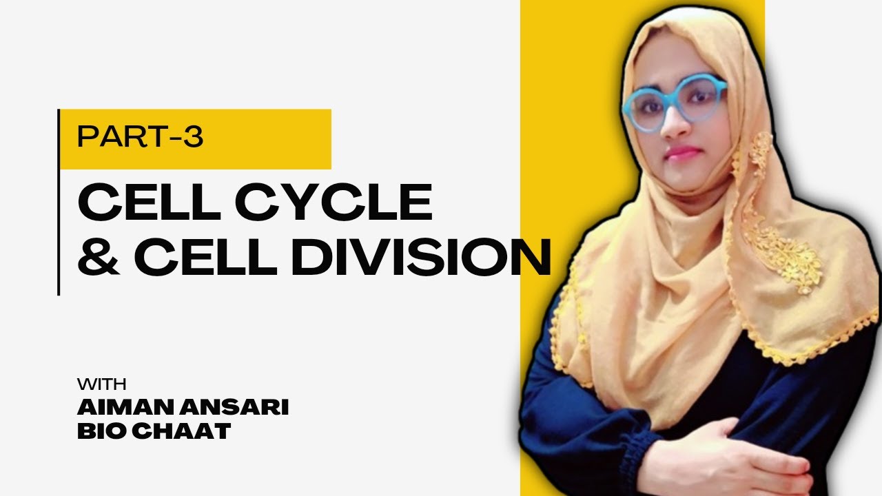 cell cycle and cell division class 11 || cell cycle || cell cycle and ...
