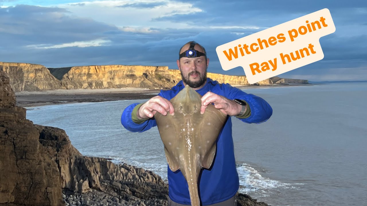Witches point ray fishing - YouTube