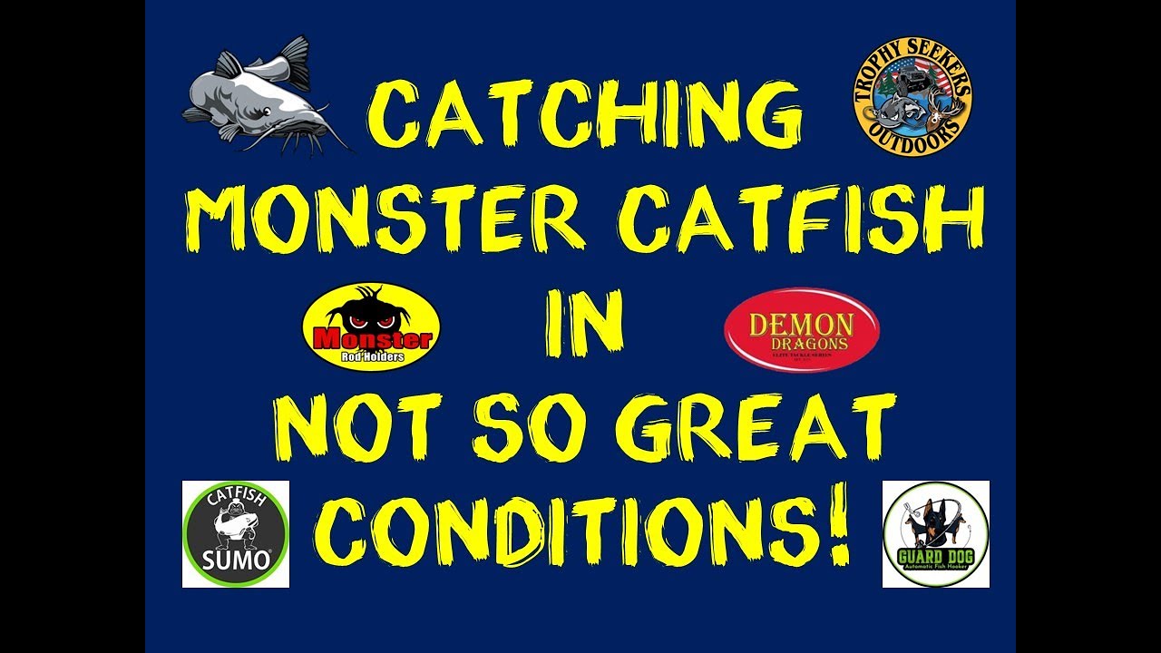 Catching Monster Catfish In Not So Great Conditions - YouTube