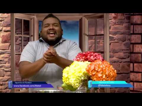 ISIL Tv - II Bloque - Metele Sazon con CHOCA