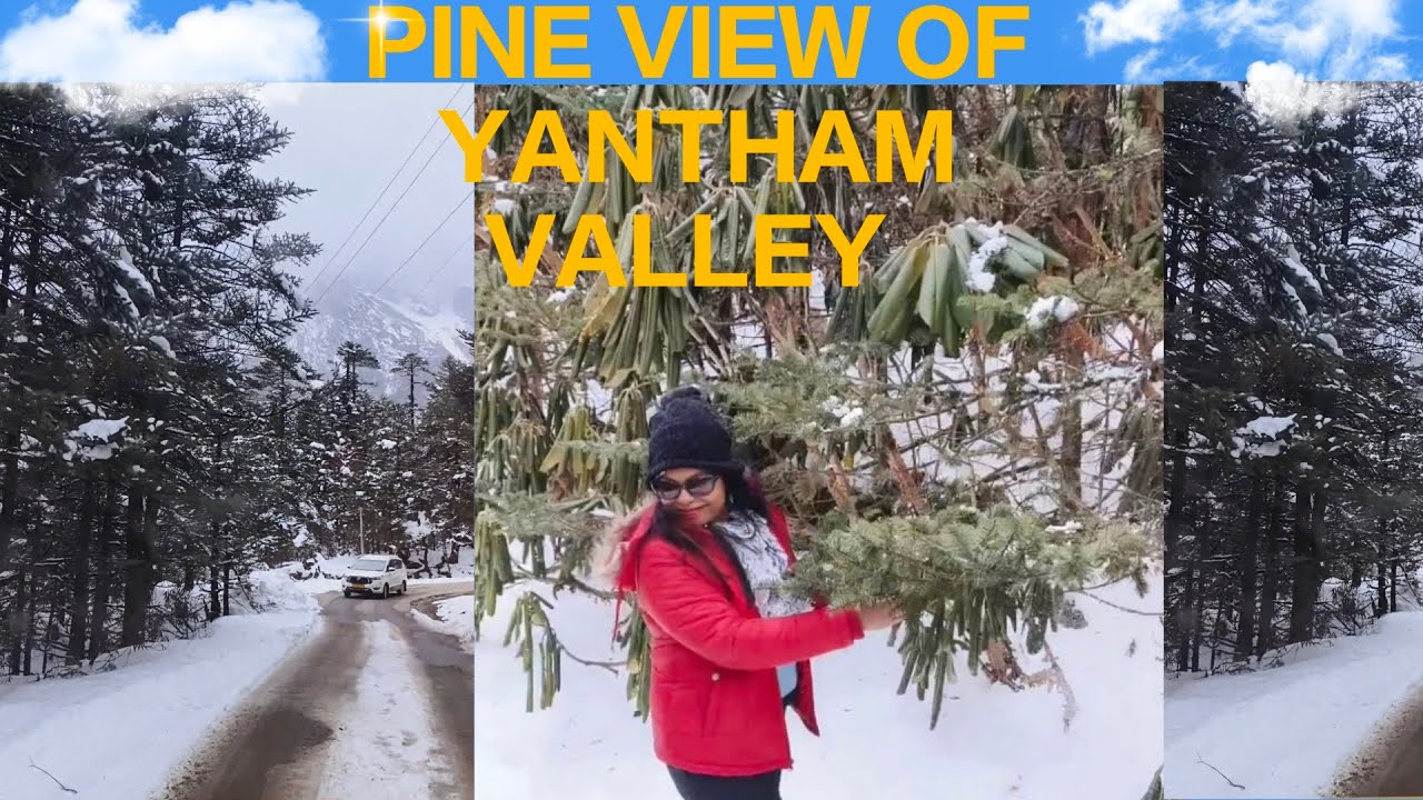Yantham Valley র উদ্দেশ্যে আমরা সবাই #yantra #northsikkim #tourism # ...