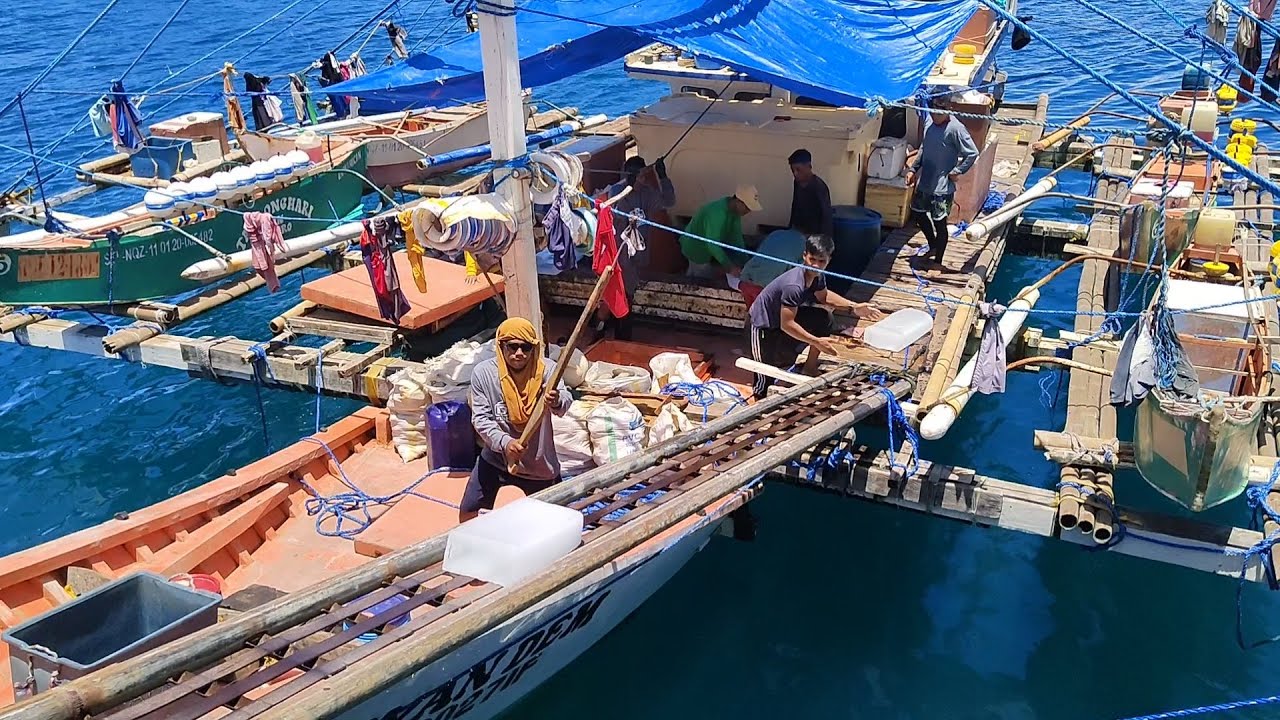 Pangangarga ng Yelo sa Consuelo, Cantilan Surigao del Sur - YouTube