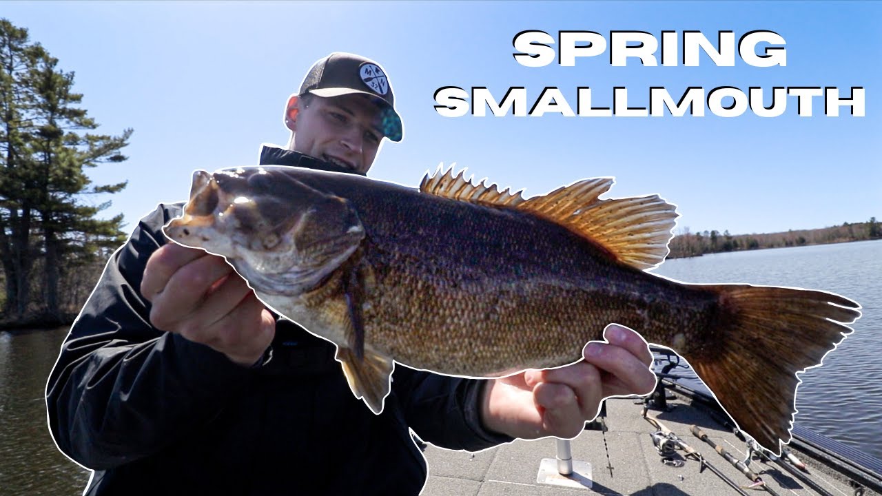 Spring Bass Fishing in Wisconsin!! (Smallies were Fired Up!) - YouTube