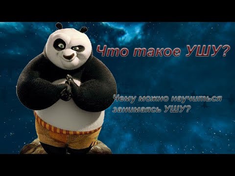 Что такое УШУ  Чему может научить УШУ Кунгфу  wudeschool удэ