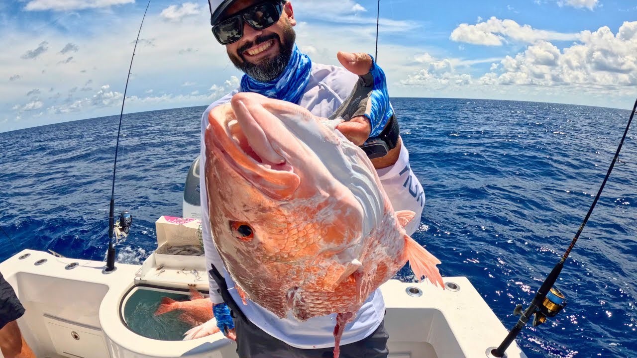 6 Man Snapper Limit in Twelve Minutes Through A Shark Gauntlet - YouTube
