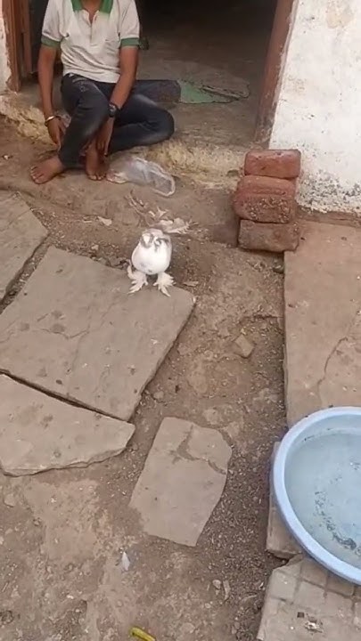 Patine ko Kahe Pyar EK Dhokha@d,y007 - YouTube