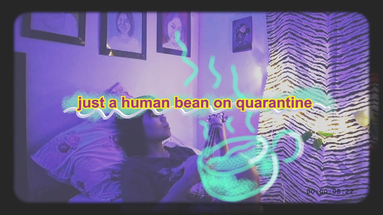 WHEN YOU HOME QUARANTINE AN INTROVERT - YouTube
