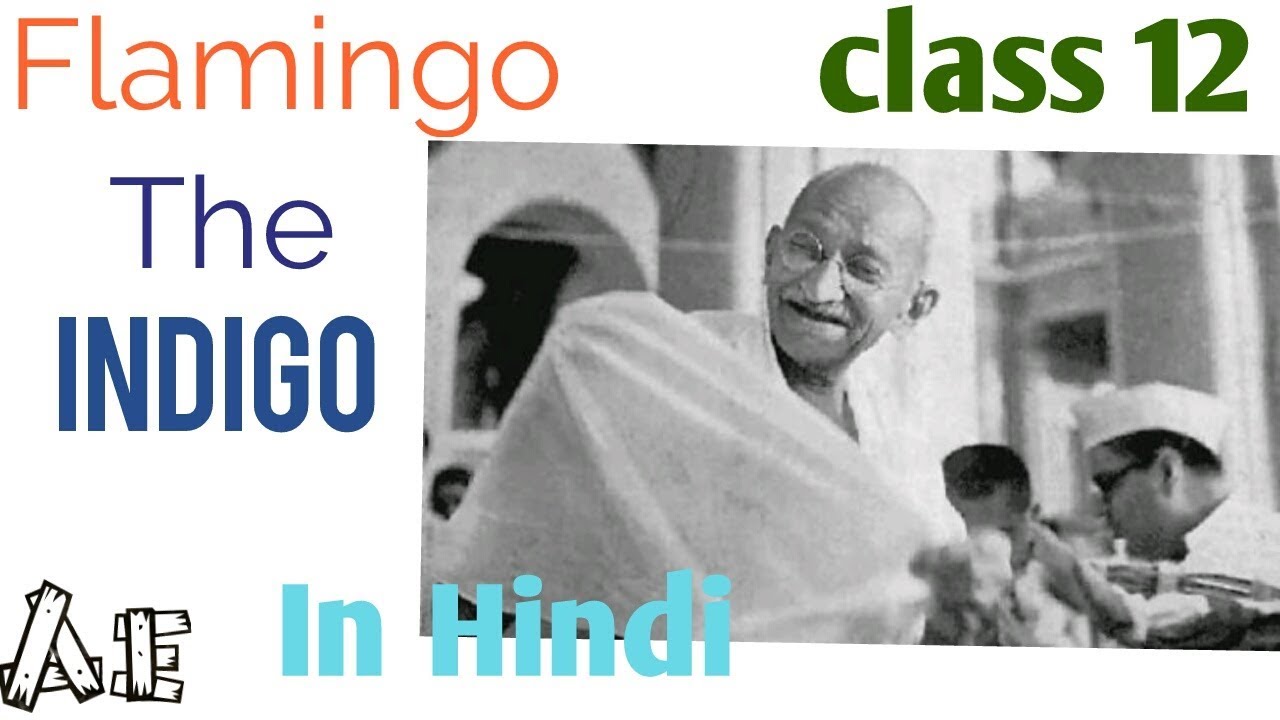 ÇHAPTER-INDIGO|CBSE|In Hindi |flamingo |class 12| ExPLANATION | MUST ...