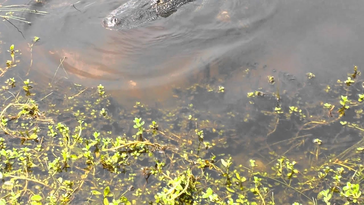 June 22, 2015 - YouTube