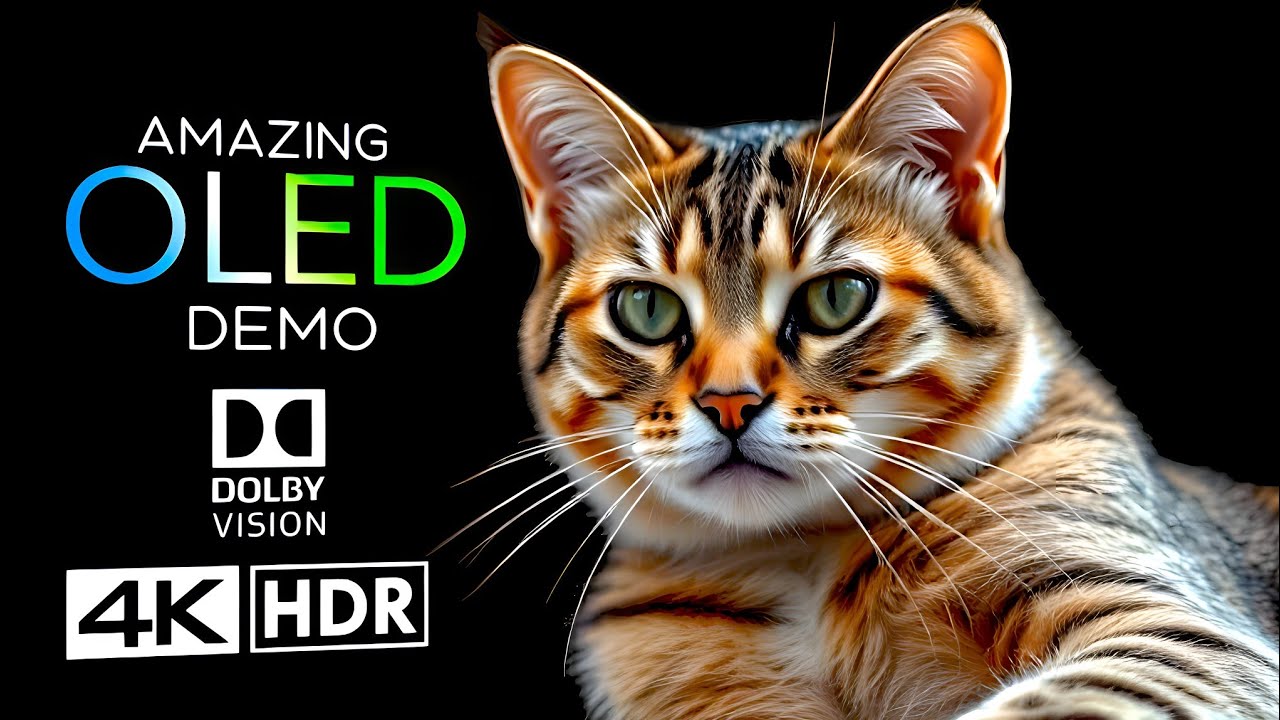 Best of Dolby vision 4k HDR 120fps - Amazing OLED Demo HDR 4k ULTRA HD Dolby Vision - The Deep ...