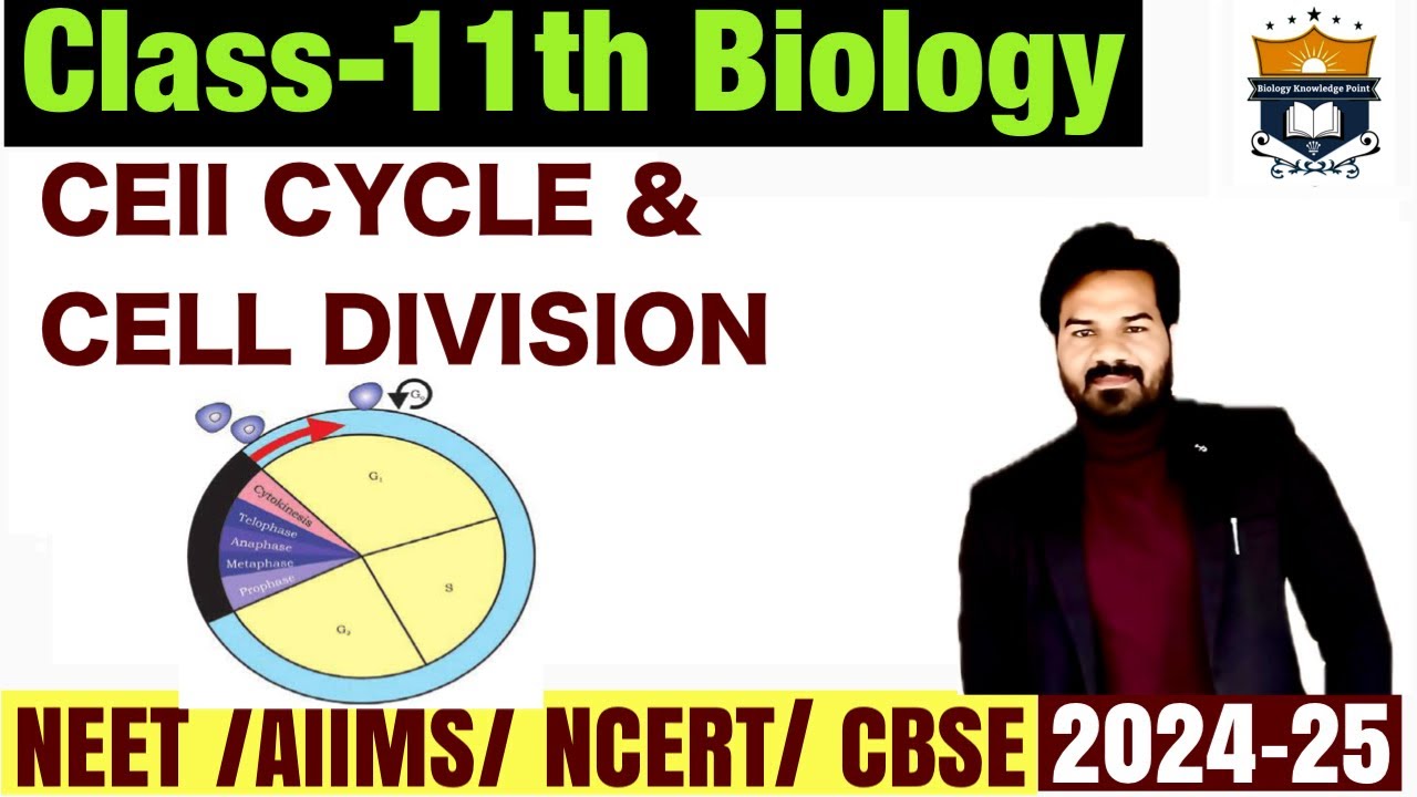 Cell cycle and cell division class 11 | Overview of cell Cycle and cell ...