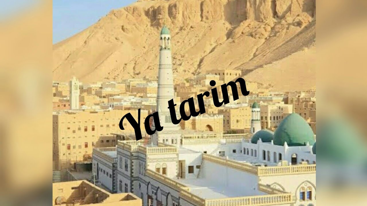 lirik lagu ya tarim ( feat. siti Qoritul hafizoh ) - YouTube