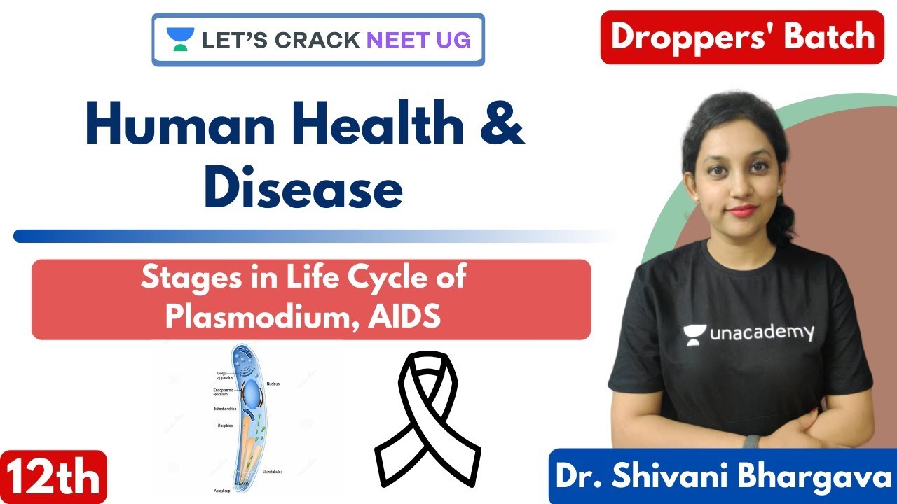 Human Health and Disease - Stages in Life Cycle of Plasmodium, AIDS ...