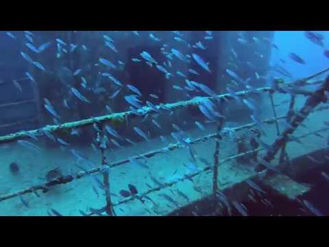Diving The Lady Luck Shipwreck in Pompano Beach, 4/7/19 - YouTube