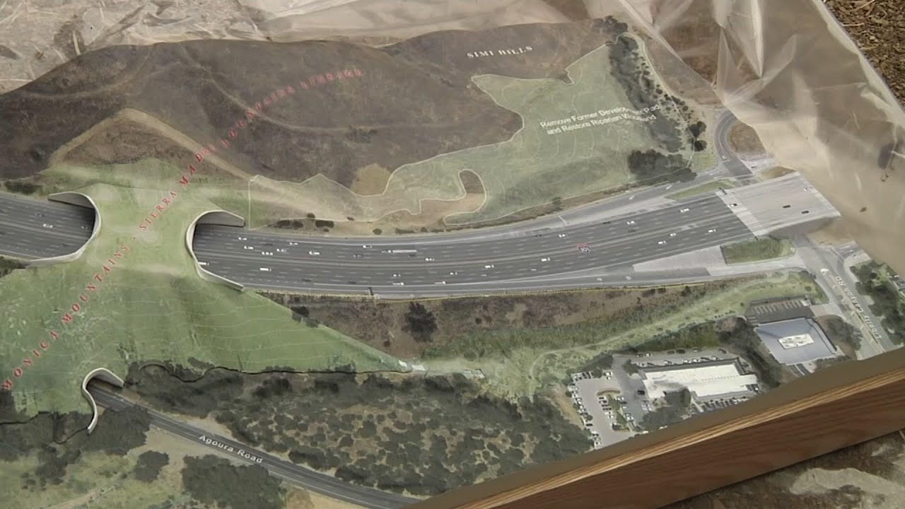 New Calif. freeway bridge to carry wildlife - YouTube