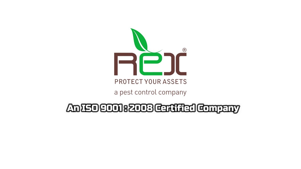 INTRODUCTION OF BEST PEST CONTROL IN INDIA | TERMITE CONTROL || Rex ...
