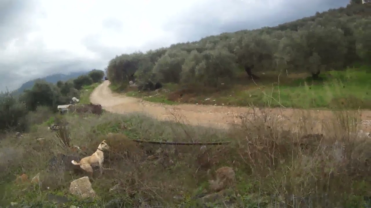 κρητικοι ιχνηλατες σε δραση 19 - YouTube