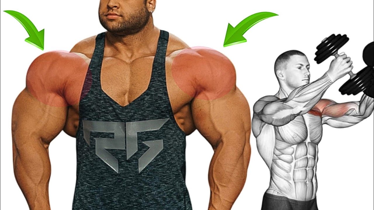 Best 10 Big Shoulder Exercises To Build Bigger Shoulder Muscle ...